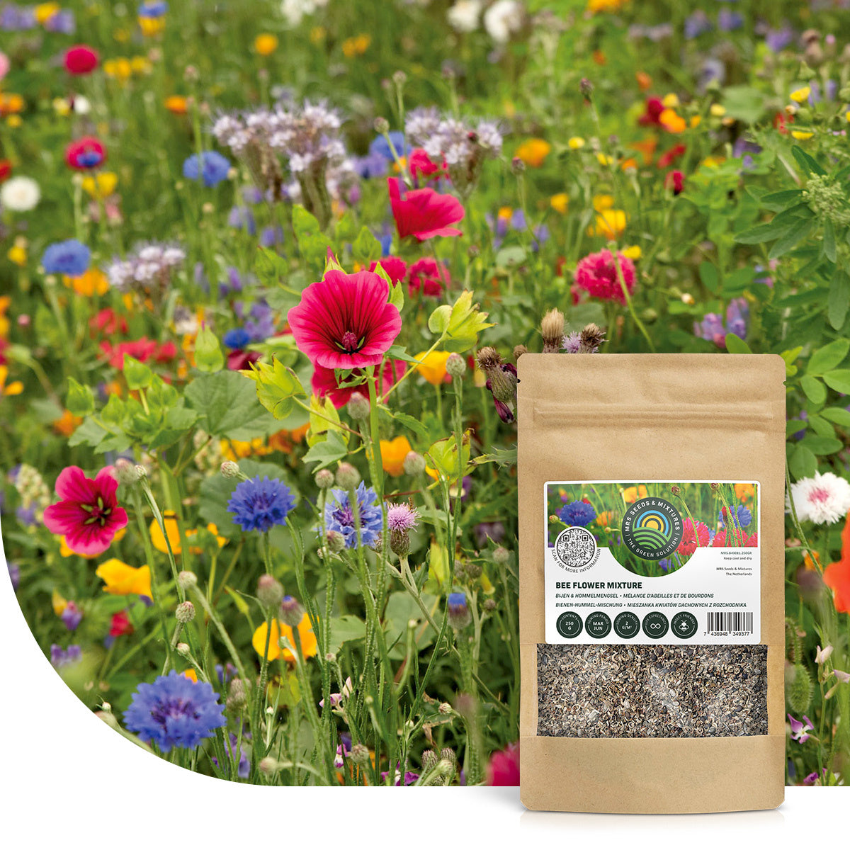 Blumensamen kaufen bei Samendirekt.de – Mulder Retail